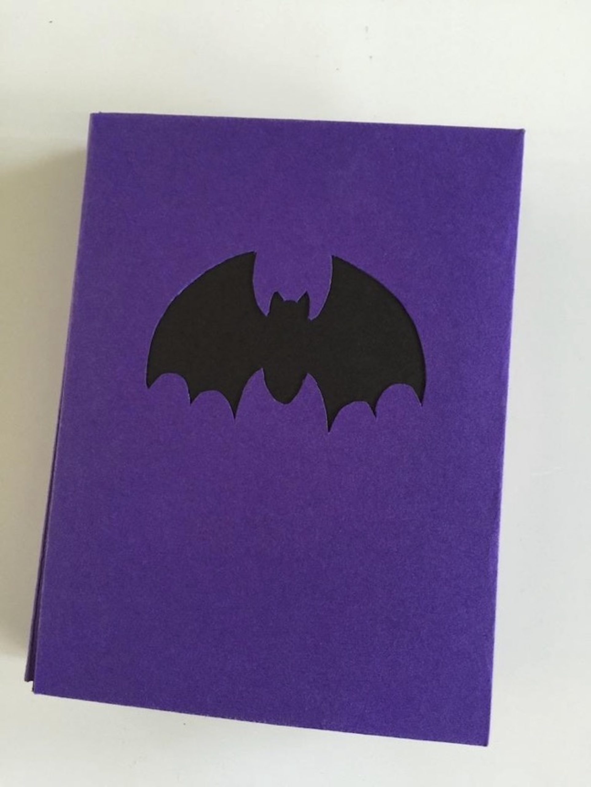 Susan Lowdermilk, Book Artist | Chibitronics