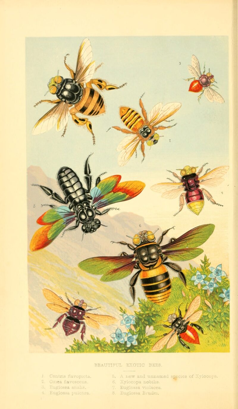 Making Paper Circuit Art Interactive with the Chibi Chip | Chibitronics