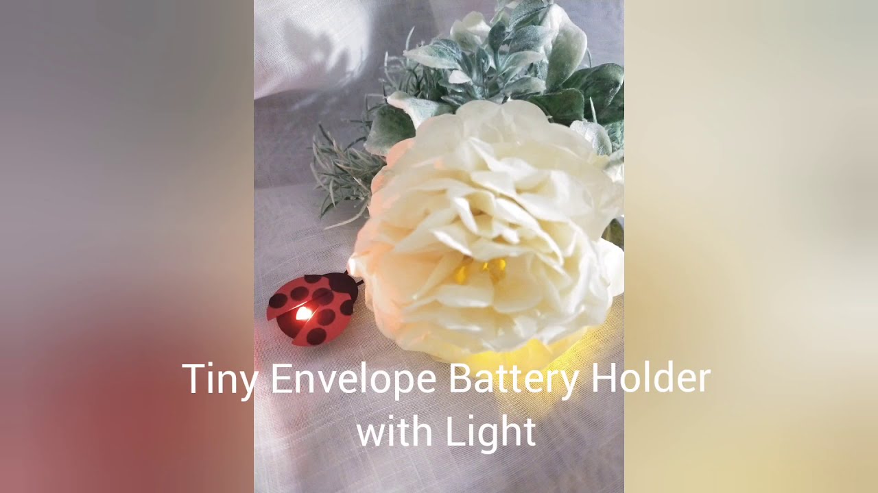 Tiny Envelope Battery Holder with Light—Ladybug Holding the Tiny Heart ...